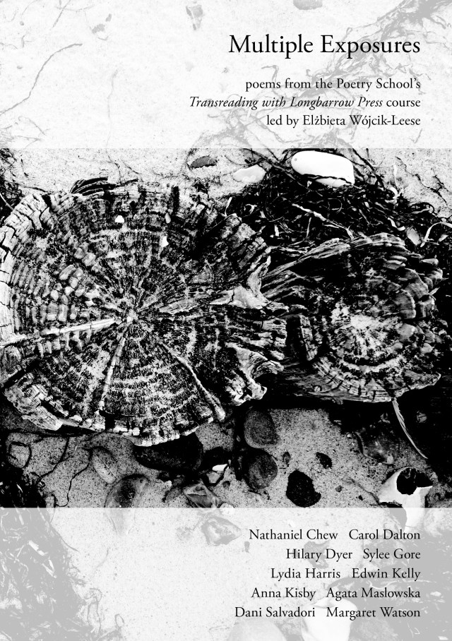 Multiple Exposures | Longbarrow Press